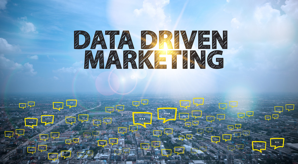 Data Driven Insights For A Holistic Digital And Print Marketing Campaign